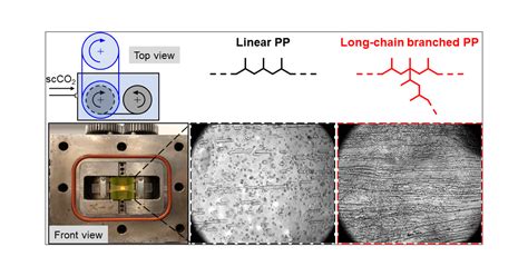 In Situ Visualization Of Extensional Flow Induced Crystallization In