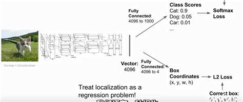 Detection And Segmentation Colins Notebook