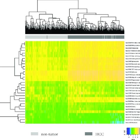 the heatmap showing the hierarchical clustering of all samples using