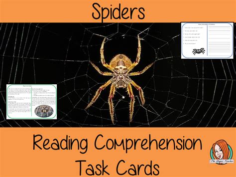 Spiders Reading Comprehension Cards Teaching Resources
