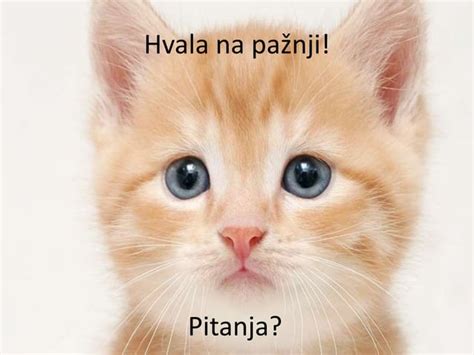 Distributed Security System Pptx