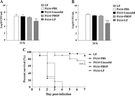 Residual Cfus And Survival Rate Of C Elegans Infected With P