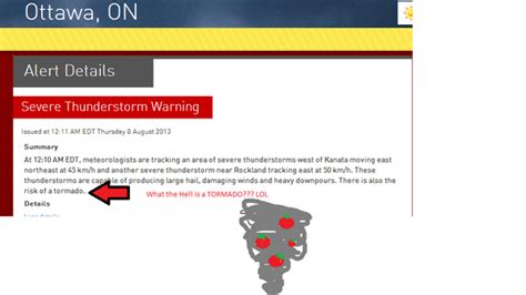 Amanda Sheldrick Amanda0516 Twitter