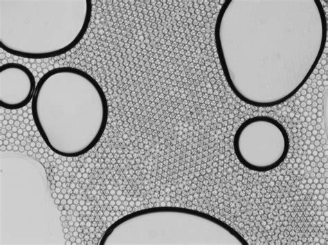 Analyzing A New Droplet Forming Fluidic Junction With Simulation