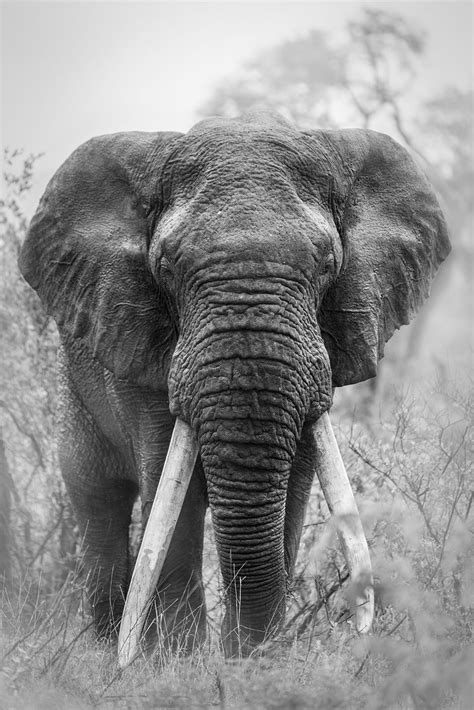Robert Irwin Continuing A Wildlife Conservation Legacy With A Camera