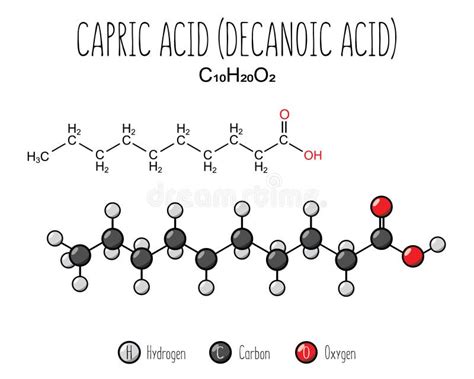 Capric Acid Decanoic Acid Or Decylic Acid Molecule It Is Saturated