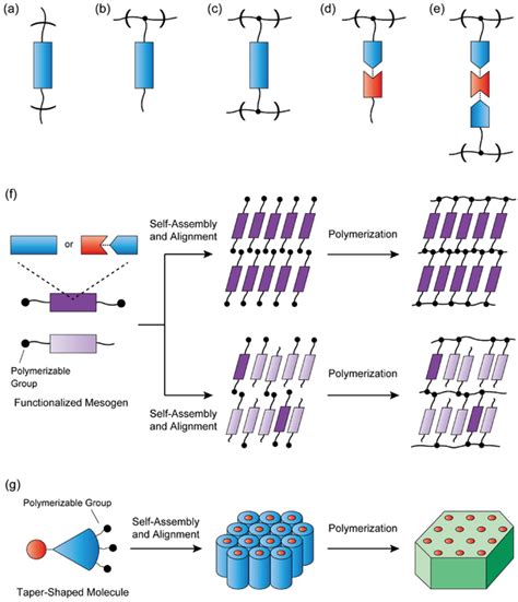 Schematic Illustration Of The Design Of Lc Polymers And Networks Ae