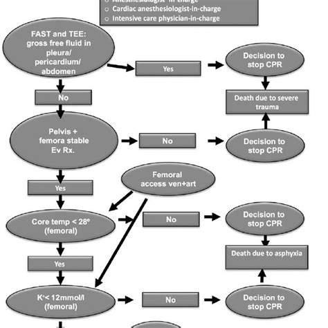 The Bernese Hypothermia Algorithm Page 2 Fast Focused Assessment With Download Scientific