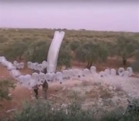 The Cia And Kgb Both Tried To Blackmail This World Leader With Sex Tapes By War Is Boring