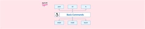 Basic Linux Commands With Examples Scaler Topics