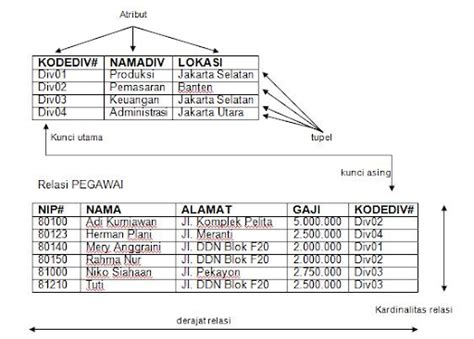 perbedaan model data relational jaringan and hierarkis dan relasi tabel ~ teknik informatika
