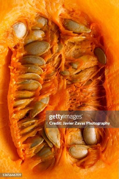 Pumpkin Pulp Photos And Premium High Res Pictures Getty Images
