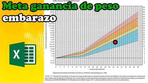 Como Saber La Edad Gestacional Oms