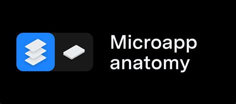 Microapp Anatomy