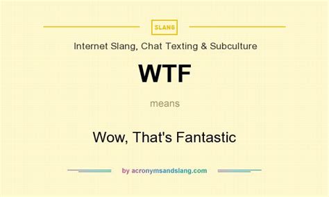 Wtf Wow That`s Fantastic In Internet Slang Chat Texting