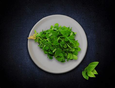 Frozen Methi Manufacturer Supplier And Exporter Frozen Ingredients