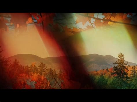 Subtle Fall Service Pack Centerline New Media Playback Media Store