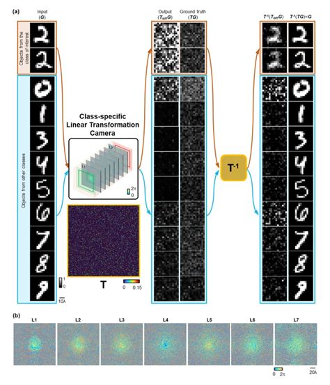 To Image Or Not To Image Class Specific Diffractive Cameras With All