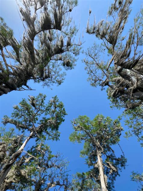 Andrew Percoco Posted On Linkedin