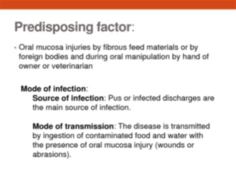 Solution Actinobacillosis Studypool