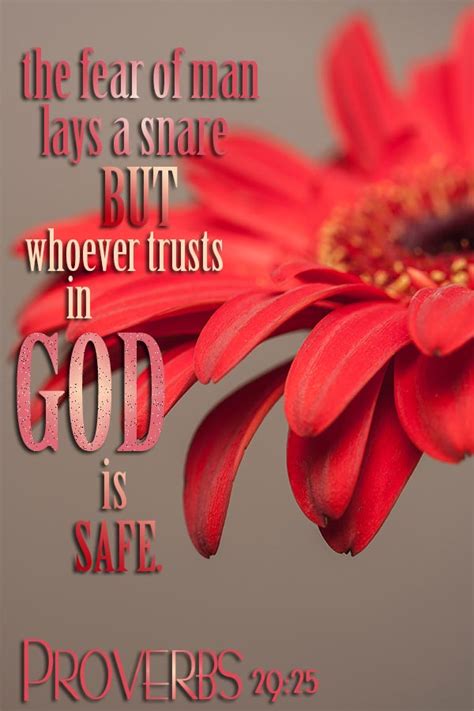 Proverbs 29 25 Photos With Gods Word