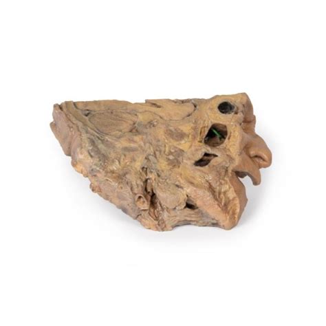 Sinus Pathways Australian Physiotherapy Equipment