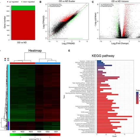 Rna Seq Analysis And Kegg Pathway Analysis Ac Histogram Scatter