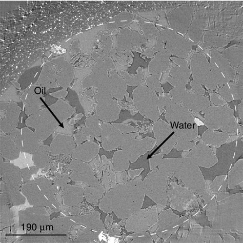 Figure 10 From Synchrotron Based X Ray Tomographic Microscopy For Rock Physics Investigations