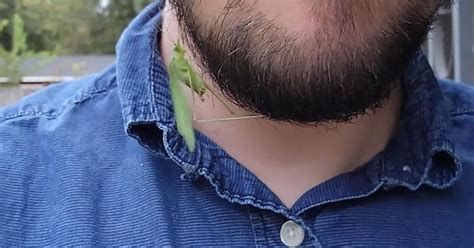 Jerry Album On Imgur Jerry Album On Imgur