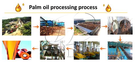 Process Flow Diagram For Palm Oil Production Palm Oil Processing FAQ