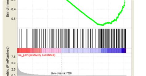 Bioinformatics Analyses Our Expertise Genomics Consulting