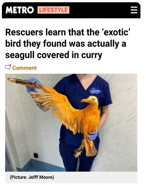 Sometimes Cryptid Identification Is Not That Difficult Rcryptids