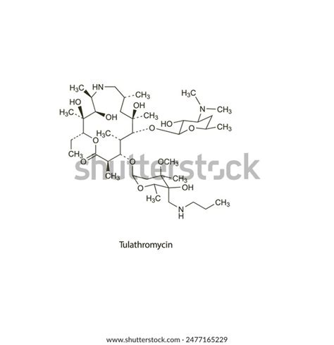 Troleandomycin Flat Skeletal Molecular Structure Macrolide Stock Vector
