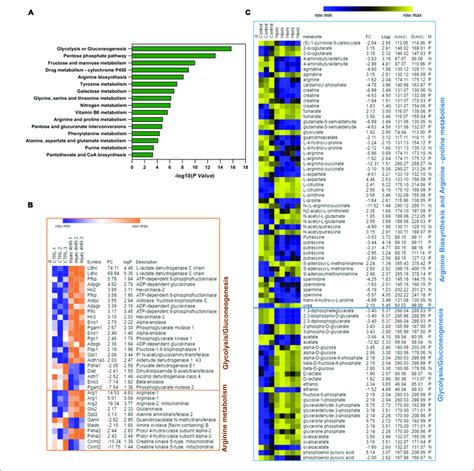 Integrative Pathway Analysis Of Differentially Regulated Genes And Download Scientific