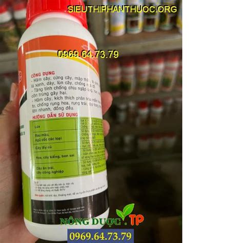 Choline Boron Phosphate Hãm Cây Cứng Cây Rễ To To Cành Mập Thân
