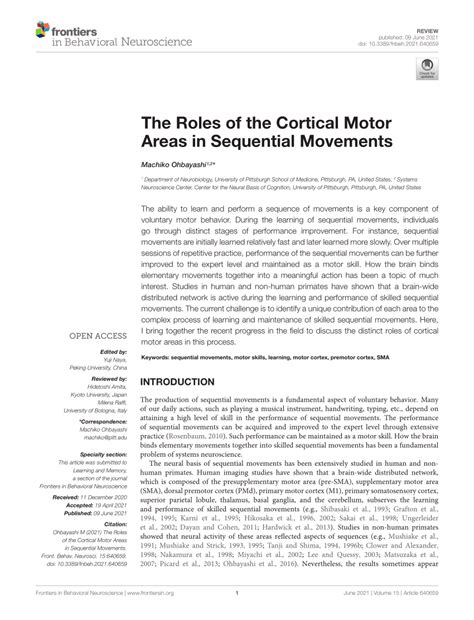Pdf The Roles Of The Cortical Motor Areas In Sequential Movements