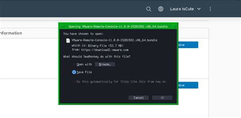 Emulating Haiku In Esxi Haiku Project