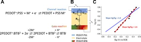 Insight Into The Oect Ph Sensor Response A Electrochemical Processes Download Scientific