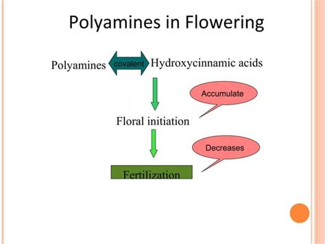 1 Role Of Polyamines In Flowering And Fruit Ripening Ppt