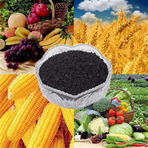 Humic Acid Potassium Humate Black Shiny Flakes Or Powder For Sale