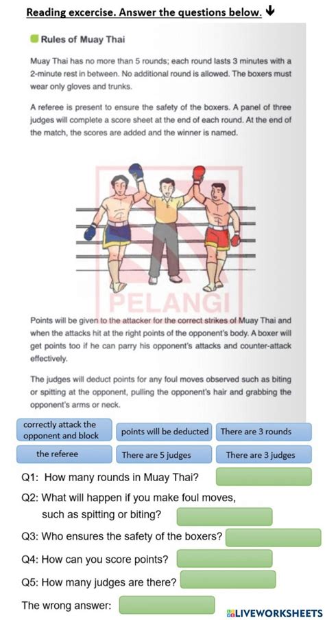 Muay Thai Rules Free Interactive Worksheets 1802668