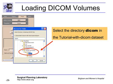 Data Loading And Visualization 3735 Ppt