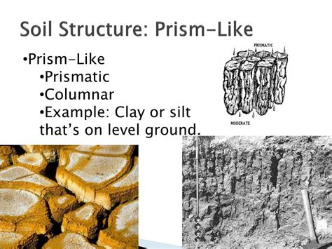 Prismatic Soil Structure