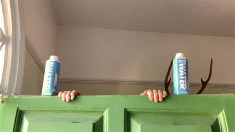 Maria Kovalevskaya Posted On Linkedin