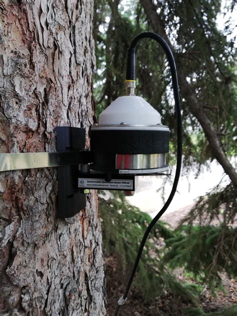 Dendrometers Ict International