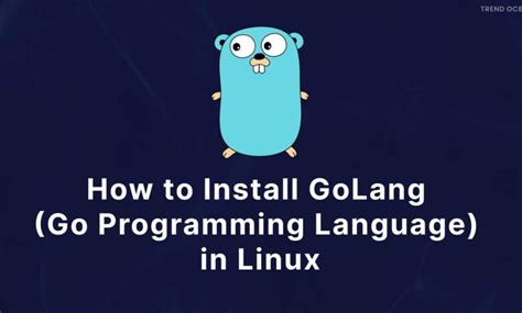Cómo Instalar Golang Lenguaje De Programación Go En Ubuntu 5 Steps