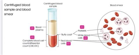 laboratory values flashcards quizlet