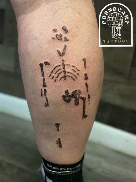 Poundcake ️the Skeleton Of Lucy Australopithecus Afarensis Facebook Mannie Mannie Instagram
