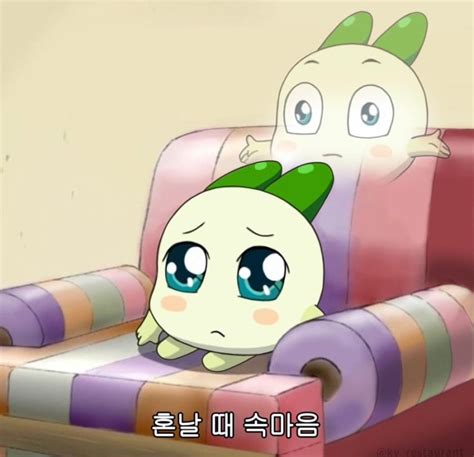 맑은 눈의 광기 양파쿵야 레전드 짤 모음zip 맑눈광 주먹밥쿵야 네이버 블로그