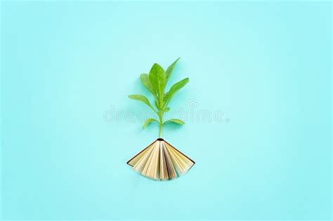 Top View Image Of Small Plant And Book Concept Idea Of Education